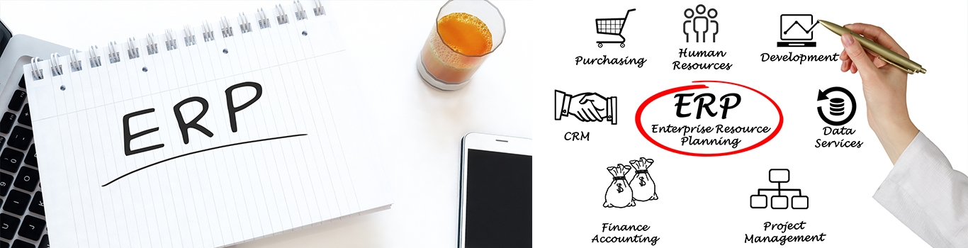 ERP Services